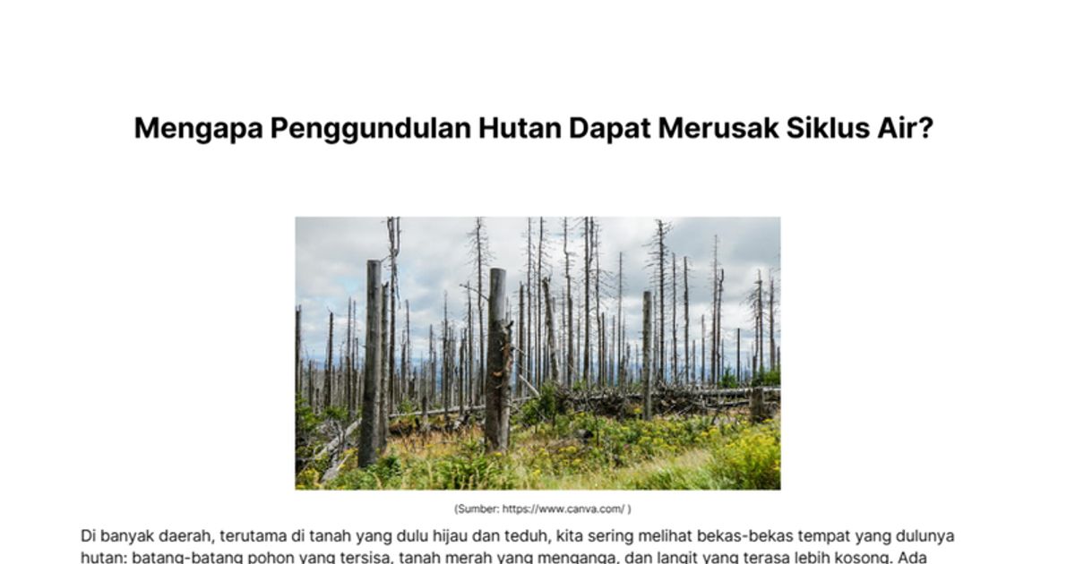 Mengapa Penggundulan Hutan Dapat Merusak Siklus Air?